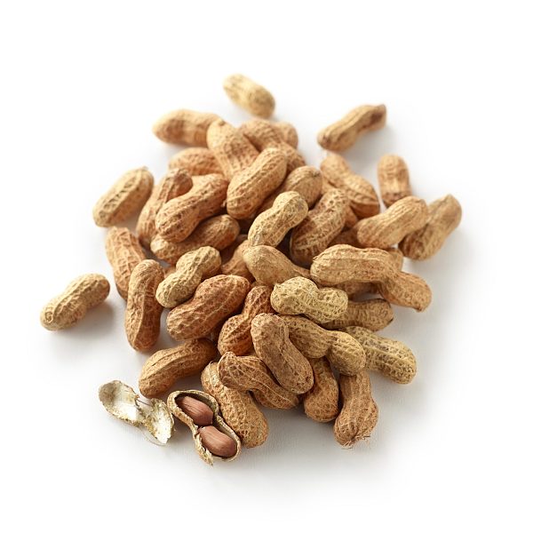 PEANUTS ROASTED IN SHELL 20KG