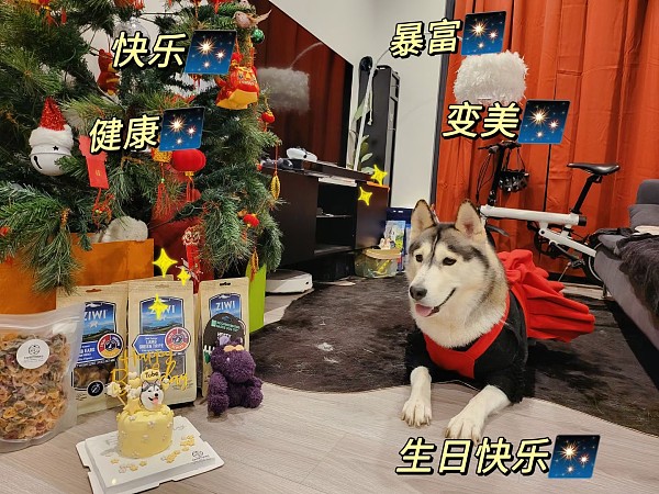 Pure meat - 4-Inch Basic Cakes