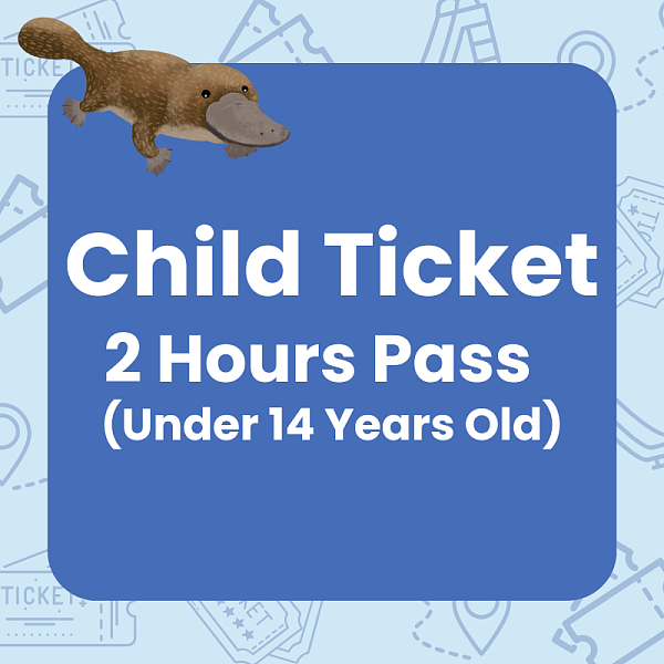 Weekday 2 Hours Pass Ticket (Under 14 Years Old)